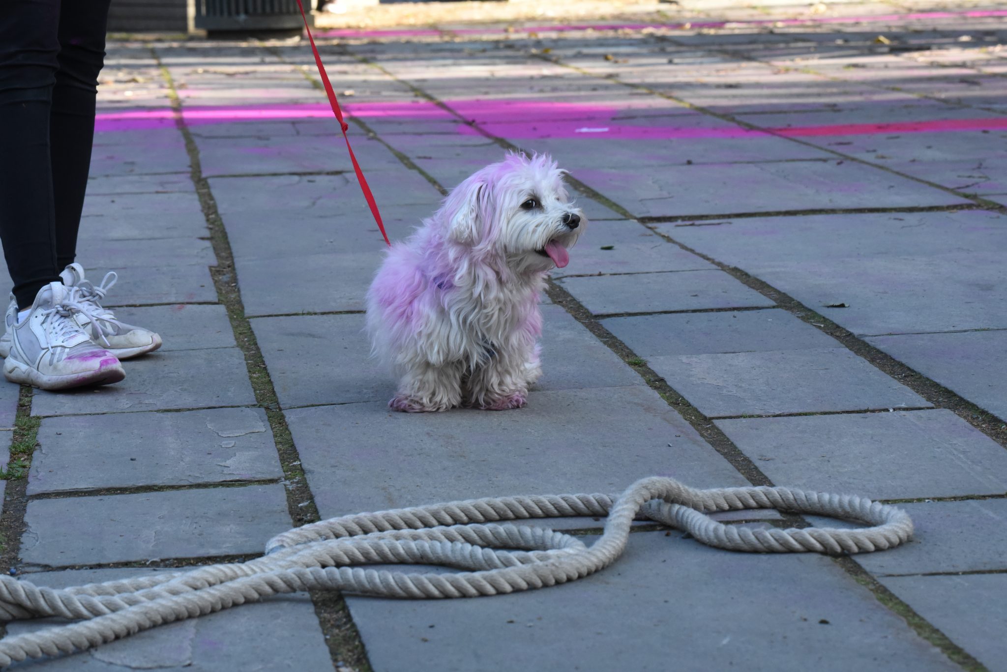 TOGETHERING - BODYCARTOGRAPHY PROJECT