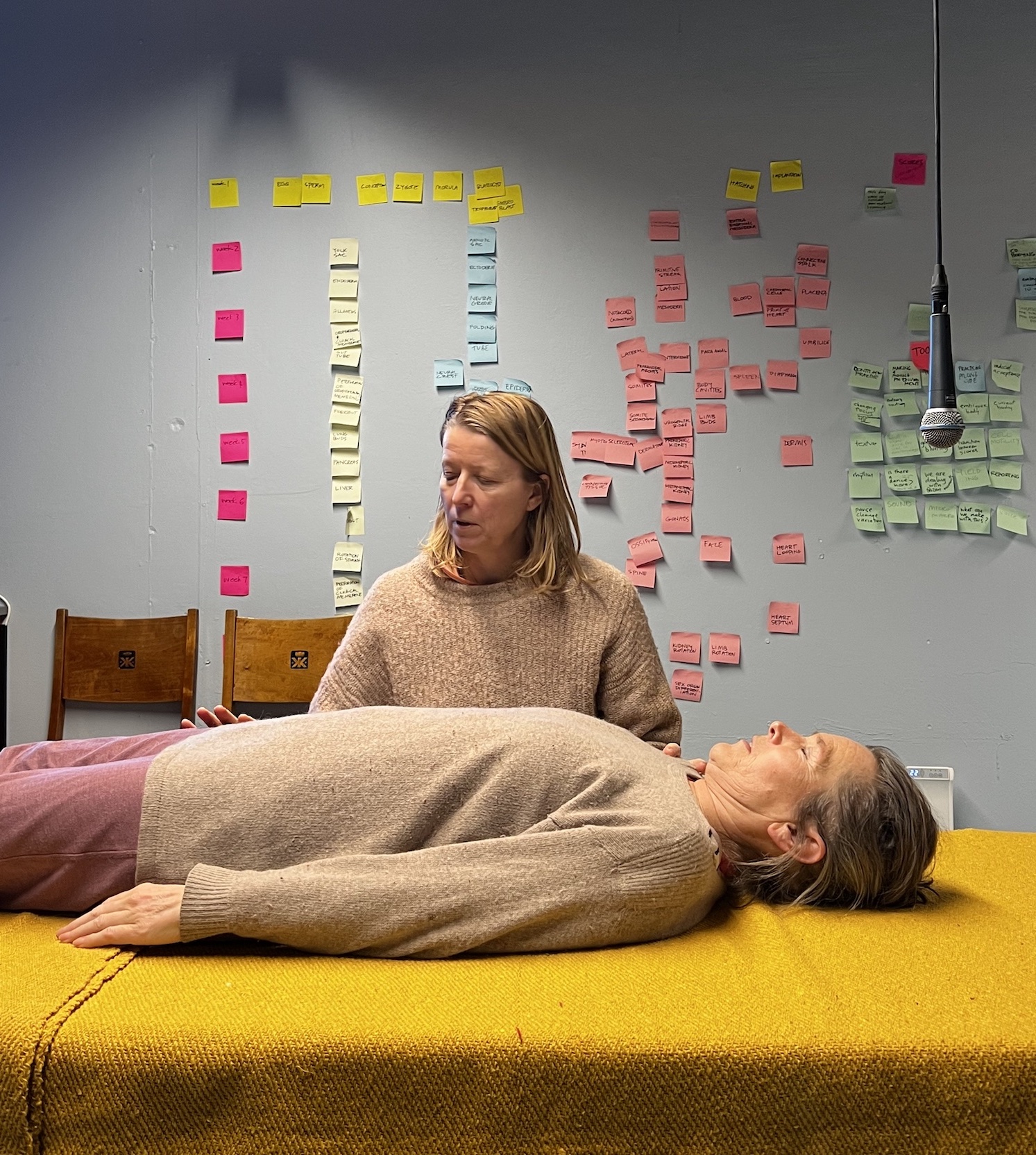 Member Profile Page - BODYCARTOGRAPHY PROJECT