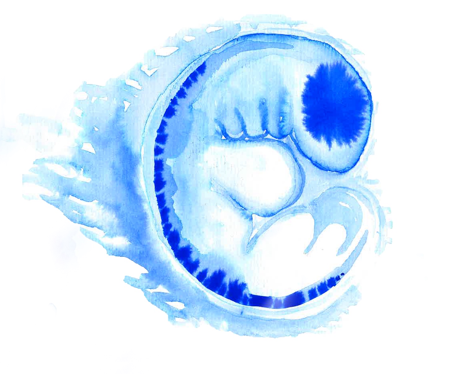 Home - BODYCARTOGRAPHY PROJECT