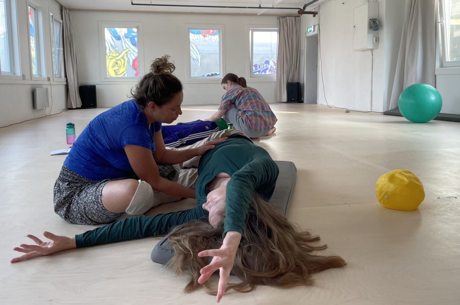 Home - BODYCARTOGRAPHY PROJECT